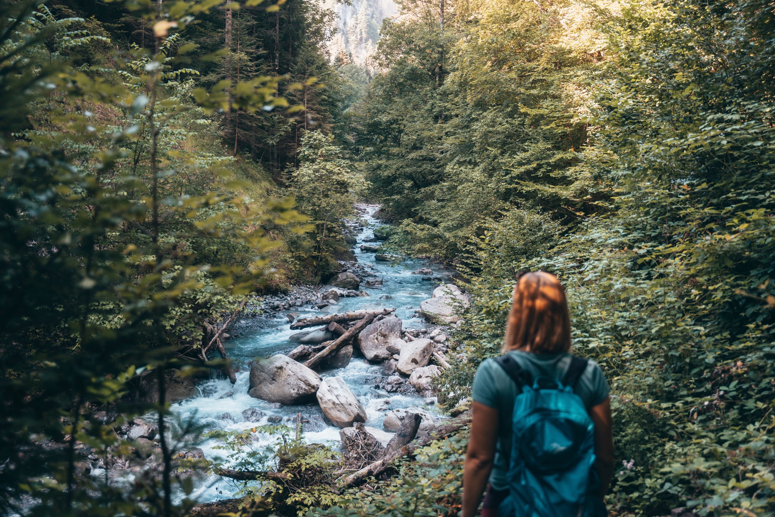 Mit der Bahn in die Alpenregion Vorarlberg